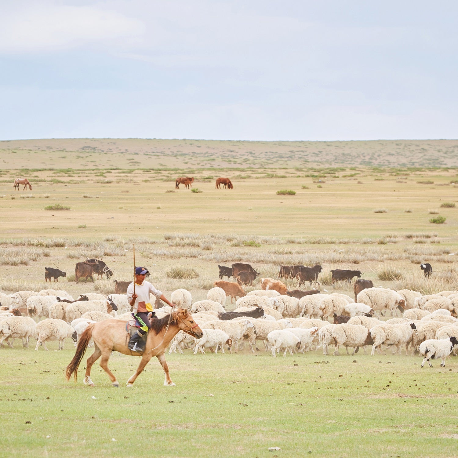 Journal – LE CASHMERE US